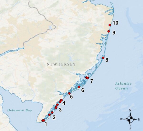 Telemetry Measures – Rutgers Offshore Wind Living Resource Studies