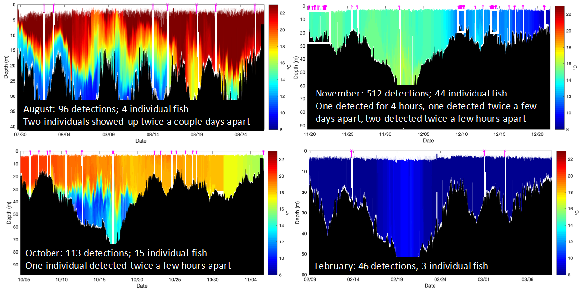 Telemetry Measures – Rutgers Offshore Wind Living Resource Studies